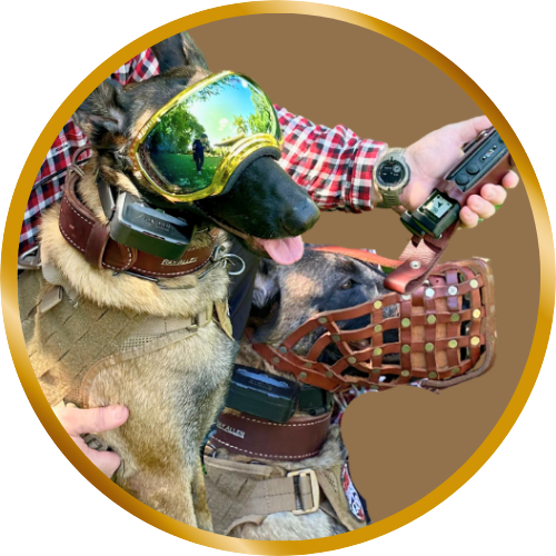 Paws And Gears Emporium – Pet Products and Gear